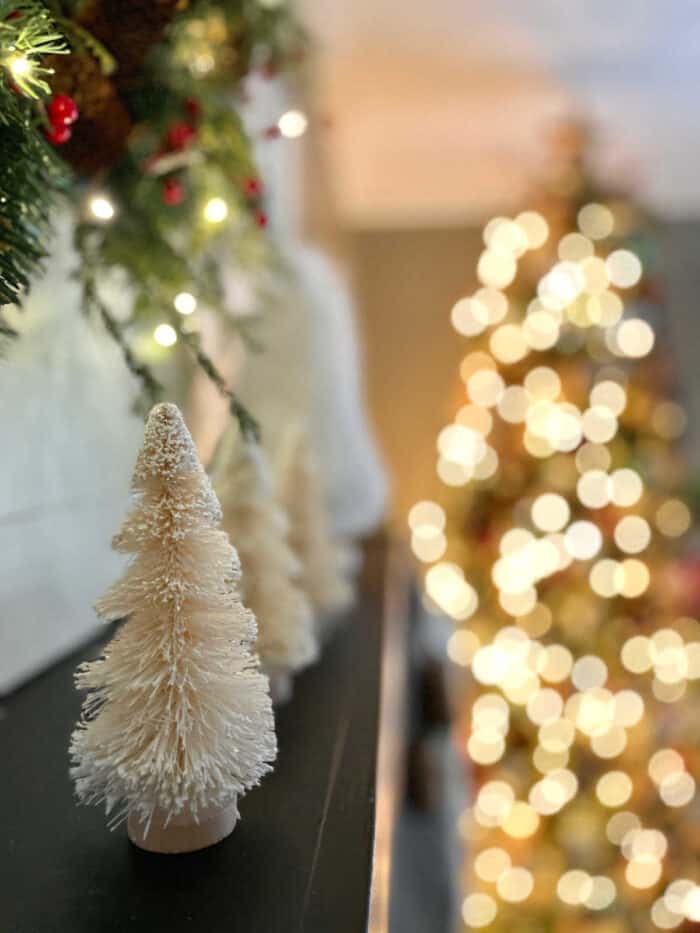Christmas Nights Tour 2021 - At Home With The Barkers